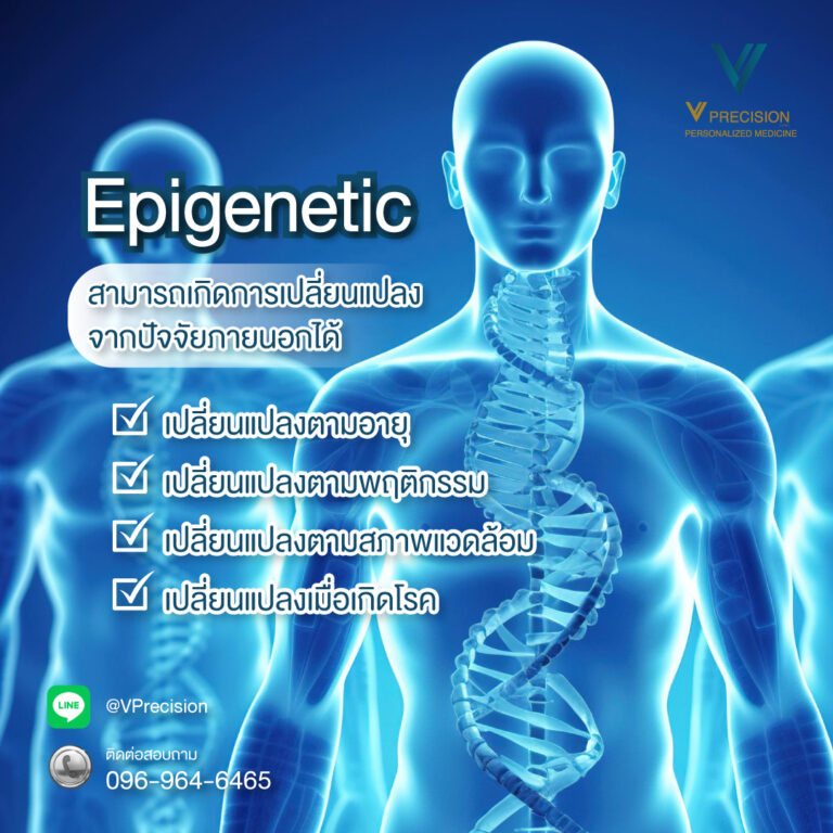 Epigenetic - V Precision