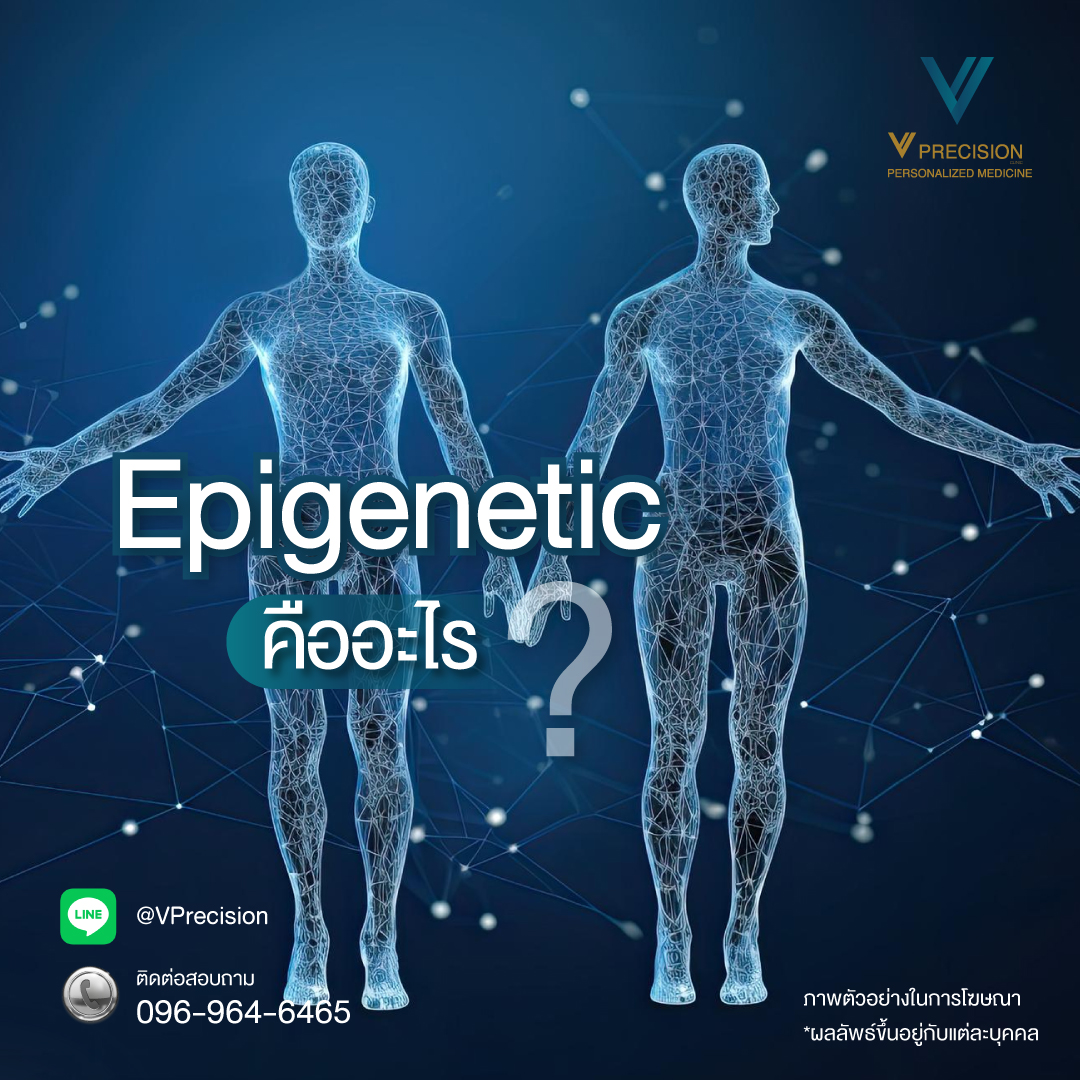 โปรแกรม Epigenetic - V Precision