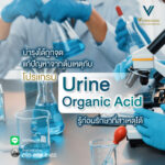 Epigenetic - V Precision